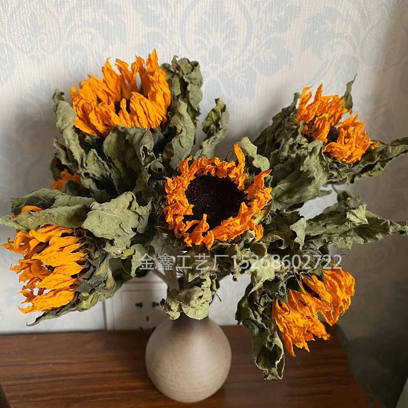 向日葵花束干花太阳花自然风干真花教师节毕业礼物向日葵相框diy 金鑫工艺品 义乌购