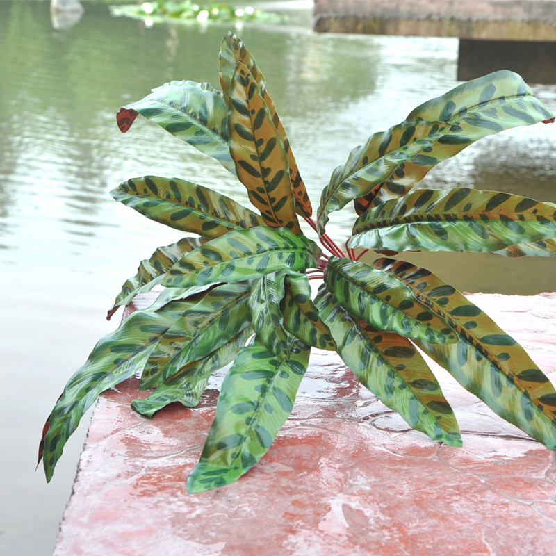 Supply Plant wall and material simulation Plant 21 leaves cat eye leaf.-