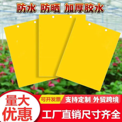 Supply Double-Sided Sticky Card Insect Trap Board Yellow Board Blue ...